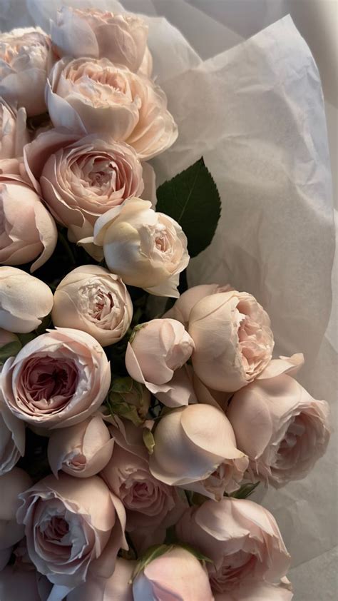 Пин от пользователя Neity на доске Flowers Розовые пионы Красные цветочные композиции