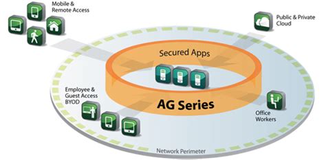 Array Networks NSS