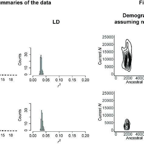 Ascertainment Errors May Amplify Mis Inference If Not Corrected As In