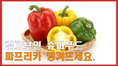 파프리카 알고보면 슈퍼푸드 파프리카의 숨겨진 건강 비밀 대공개 Youtube