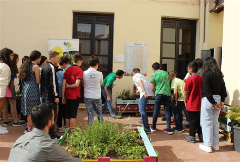 Los Alumnos Del Ceip Prácticas Nº1 De Málaga Descubren Las Sbn