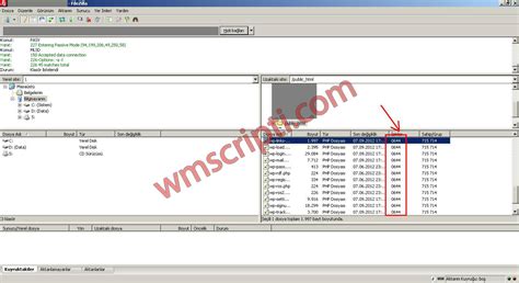 Scriptlerde Chmod Ayarı Nasıl Yapılır Wm Scripti Scripti Script