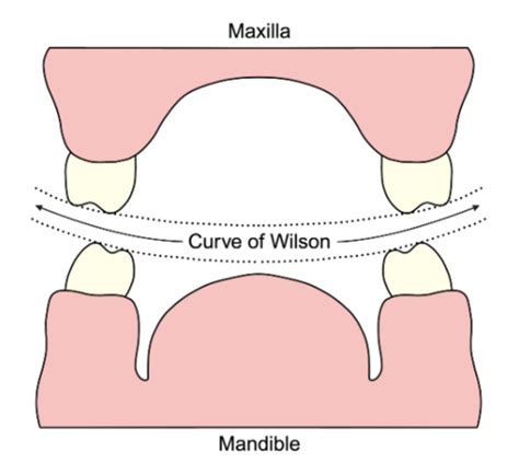 Inbde Yellow Review Flashcards Quizlet