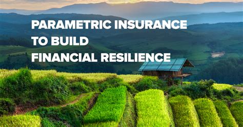 Parametric Insurance To Build Financial Resilience Undp Irff