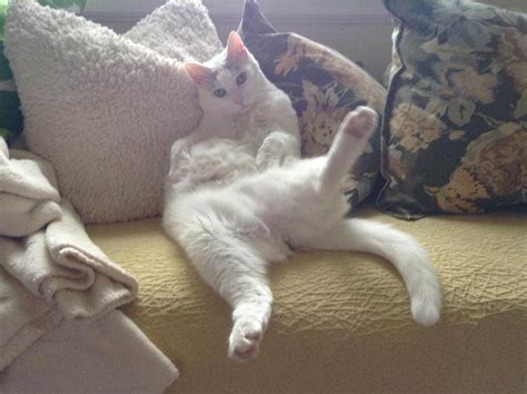 Suzanne Mcdermott Stroke And Flow