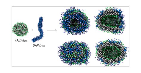 Hierarchical Shape Specified Model Polymer Nanoparticles Via Copolymer Sequence Control