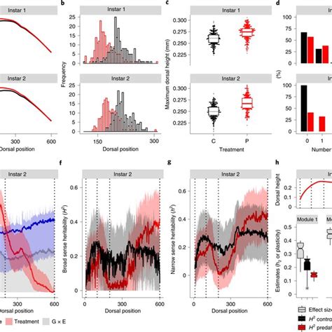 High Throughput Phenotypic Assessment Via Automated Image Analysis Tool