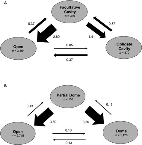 The Evolution Of Enclosed Nesting In Passerines Is Shaped By Competition Energetic Costs And