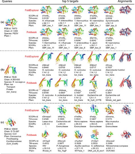 Figure 1 From Foldexplorer Fast And Accurate Protein Structure Search