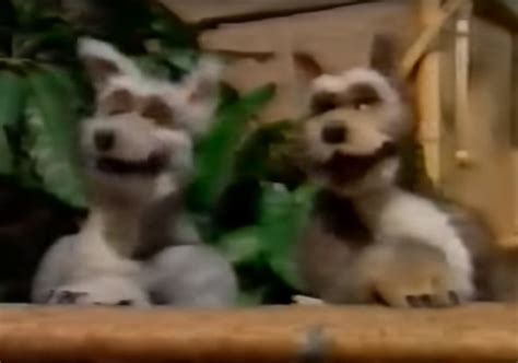 I Revisited Whats Up Doc After 27 Years It Was A Bumpy Journey Its A Stampede