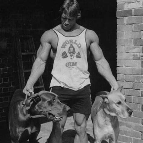 Stream Benjamin Nassi Music Listen To Songs Albums Playlists For Free On Soundcloud