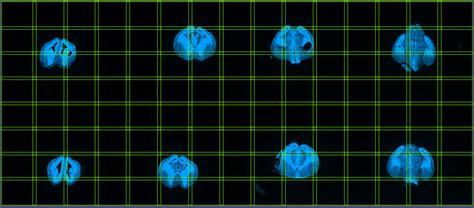 Bioformats 553 Does Not Read Czi Metainfo Series Number Pyramid Levels Correctly Anymore
