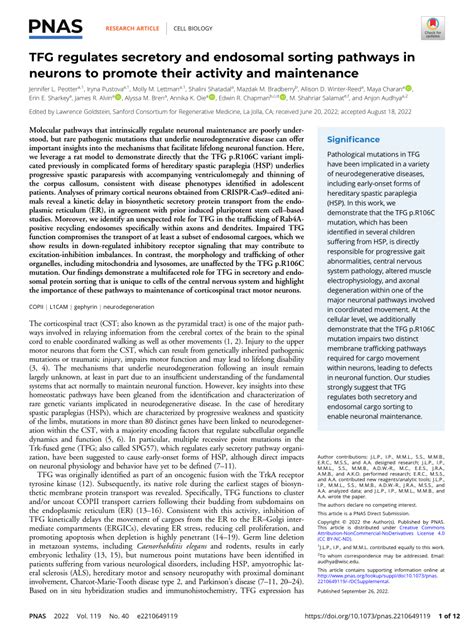 Pdf Tfg Regulates Secretory And Endosomal Sorting Pathways In Neurons To Promote Their