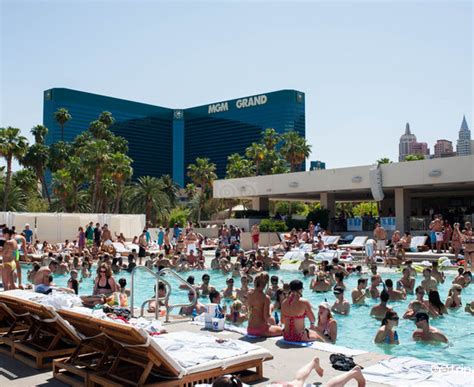 Mgm Grand Pool Pictures And Reviews Tripadvisor