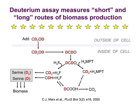 Methylobacterium Extorquens Metabolic Superstar Ppt