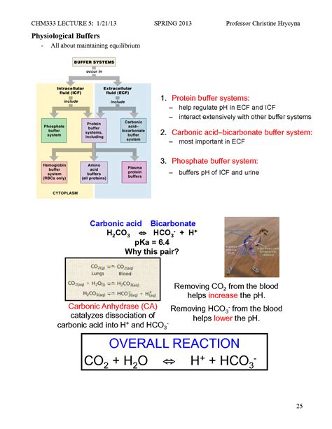 SOLUTION: Lecture 5 physiological buffers - Studypool