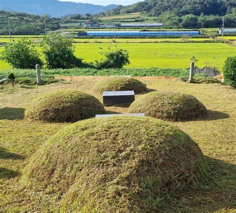 산소 관리와 벌초 시기 그리고 잔디관리에 대해 정리해 봅니다 네이버 블로그