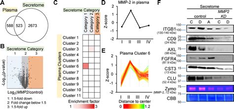 Comparative Analysis Of The Cell Secretome With The Plasma Proteome Of Download Scientific