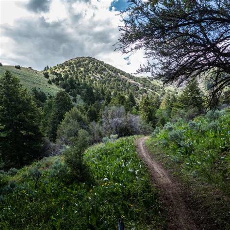 Stansbury Front Trail Hiking Trail Maps Difficulty Trail Status Onx