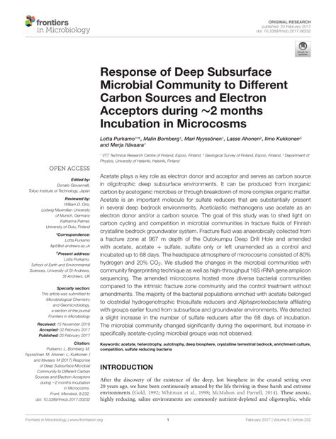 Pdf Response Of Deep Subsurface Microbial Community To Different Carbon Sources And Electron