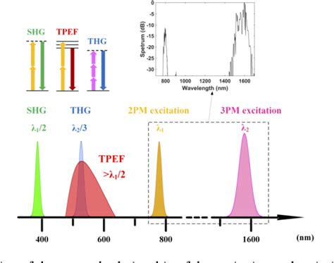Figure 1 From Miniaturized Multimodal Multiphoton Microscope For Simultaneous Two Photon And