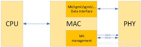 Linux Mii Managementmdio子系统分析之一 总体概述management对应的mdio子模块 Csdn博客