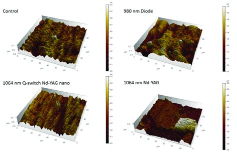 The 3d Atomic Force Microscopy Topography Images 70 × 70 µm Of The Download Scientific