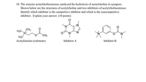 Solved 10 The Enzyme Acetylcholinesterase Catalyzed The