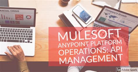 Anypoint Platform Operations Customer Hosted Runtimes OnlineTraining