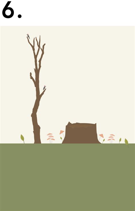 Tree Life Cycle Ted Todd