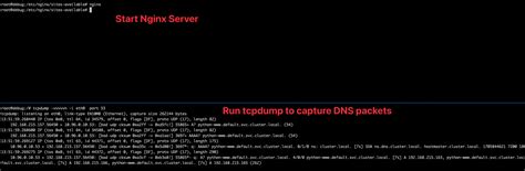 Nginx Reverse Proxy 的 Dns Issue Hwchiu Learning Note