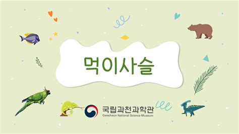 생태계 과학수어 먹이사슬 Youtube