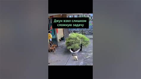 ТГ Mashacodeca фронтенд Coding Programming Youtube