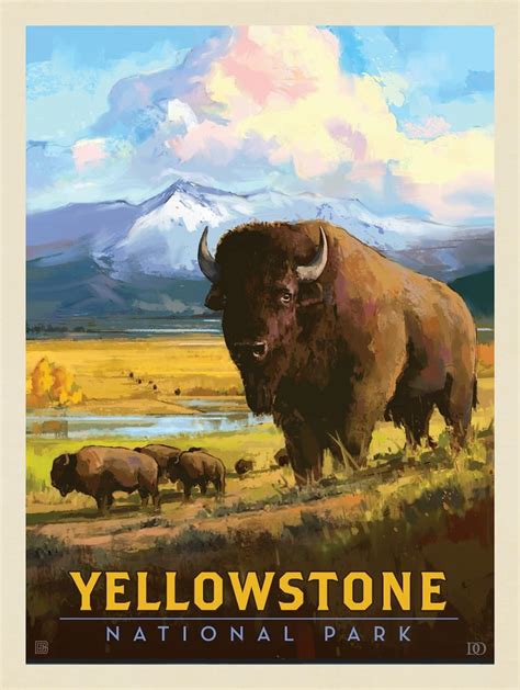 Yellowstone National Park American Bison David Owens Illustration