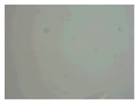 Optical Microphotographs Of Etch Pits On 100 Of Rutile Single