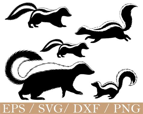 Skunk Svg Skunk Silhouette Dxf Png Etsy