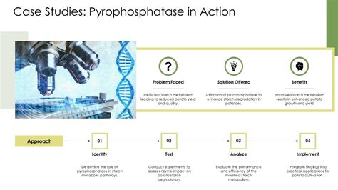 Potato Pyrophosphatase Enzyme Starch Metabolism Ppt Presentation St Ai Ppt Presentation