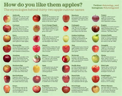 Kinds Of Apples Chart Educational Chart Resources