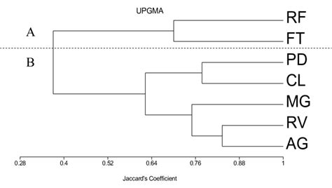 Dendrogram Of Jaccard S Coefficient Resulting From Average Linkage