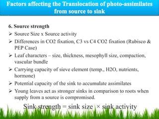 Source And Sink Relationship Pptx Pptx