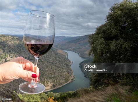 도로 밸리와 도우로 강에서 생산된 포르투갈 레드 드라이 와인의 시음과 가을 포르투갈의 계단식 포도원을 맛보는 유리와 손 0명에 대한 스톡 사진 및 기타 이미지 Istock