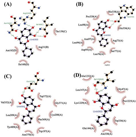 Two Dimensional 2d Representation Of Protein Ligand Molecular Docking