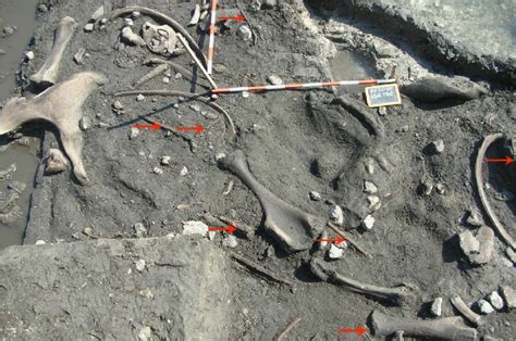 Figure 2 From Application Of Reflectance Transformation Imaging To Experimental Archaeology