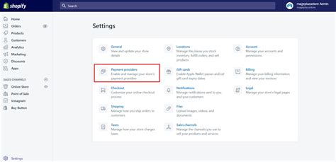 How To Set Up Shopify Payments In Easy Steps