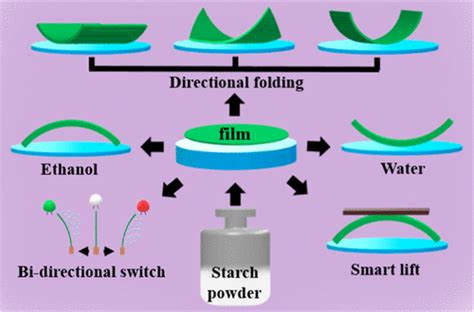 Multivapor Responsive Controlled Actuation Of Starch Based Soft