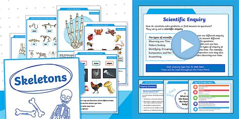 Step Into Science Y3 Autumn Block 1 Skeletons Steps 1 To 5