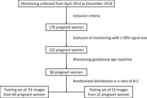Deep Learning With Information Fusion And Model Interpretation For Long