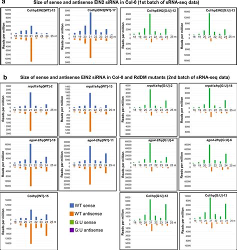 of srna deep sequencing data size distribution of sense and antisense
