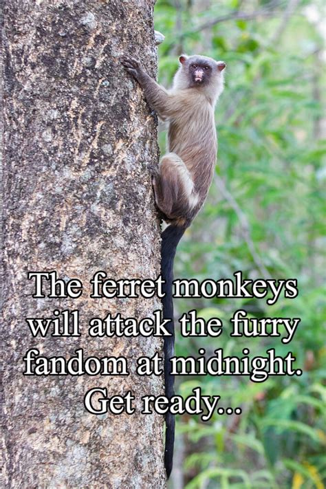 Monkey Irl Scrolller