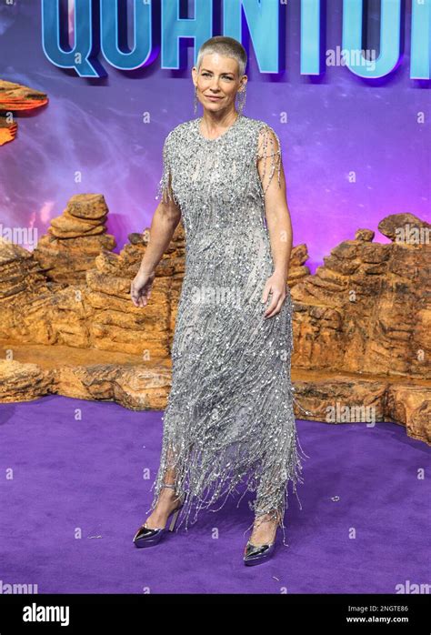 Ant Man Fotos Und Bildmaterial In Hoher Auflösung Alamy